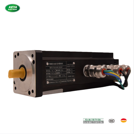 Explosion-Resistant DC Servo Motor for Industrial Automation - Jinan ...